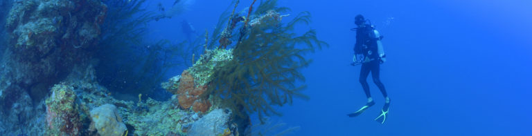 Guanaja Scuba Diving - Clark's Cay Guanaja
